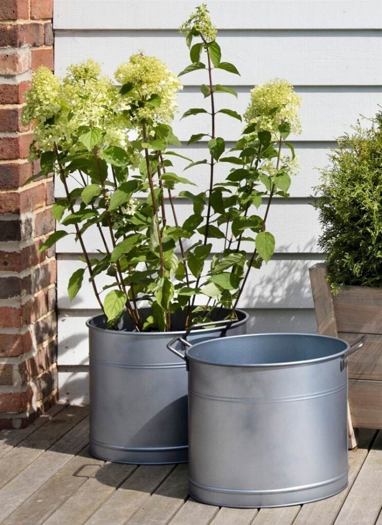 Galvanised buckets store