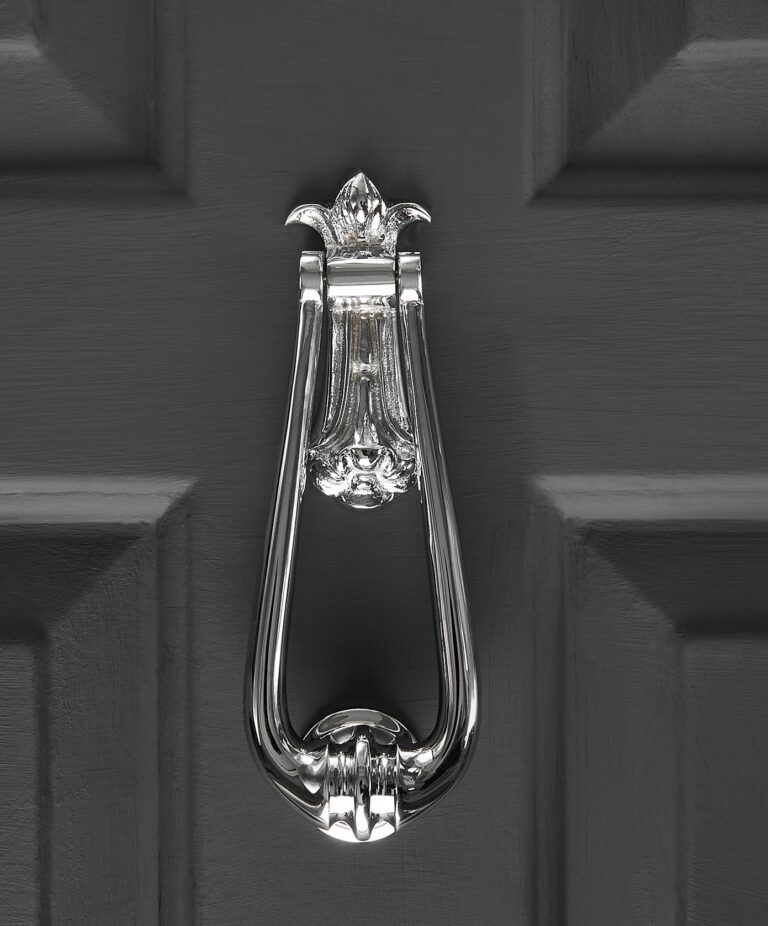 Loop Door Knocker - Polished Chrome